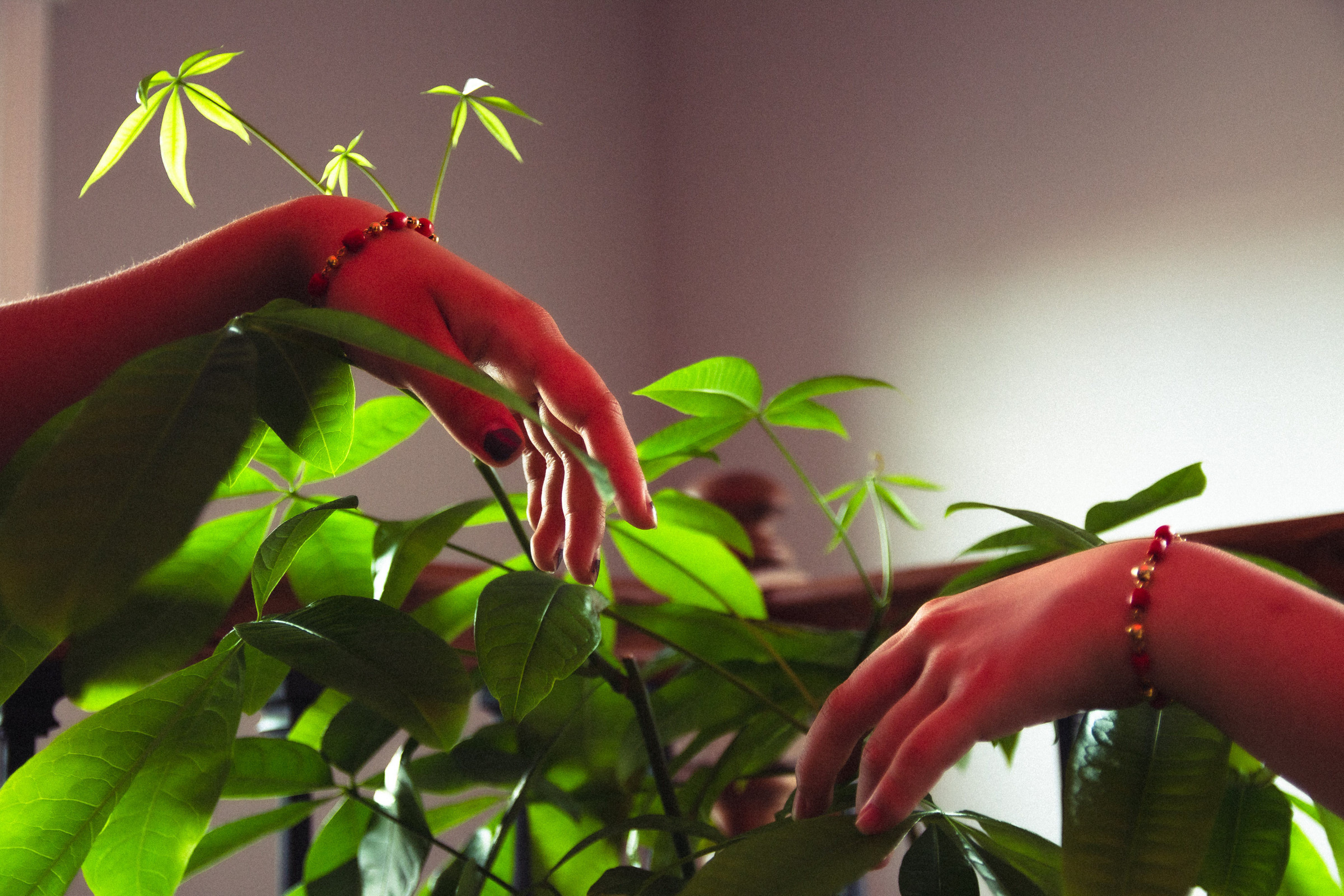 subtitle - an asian film magazine